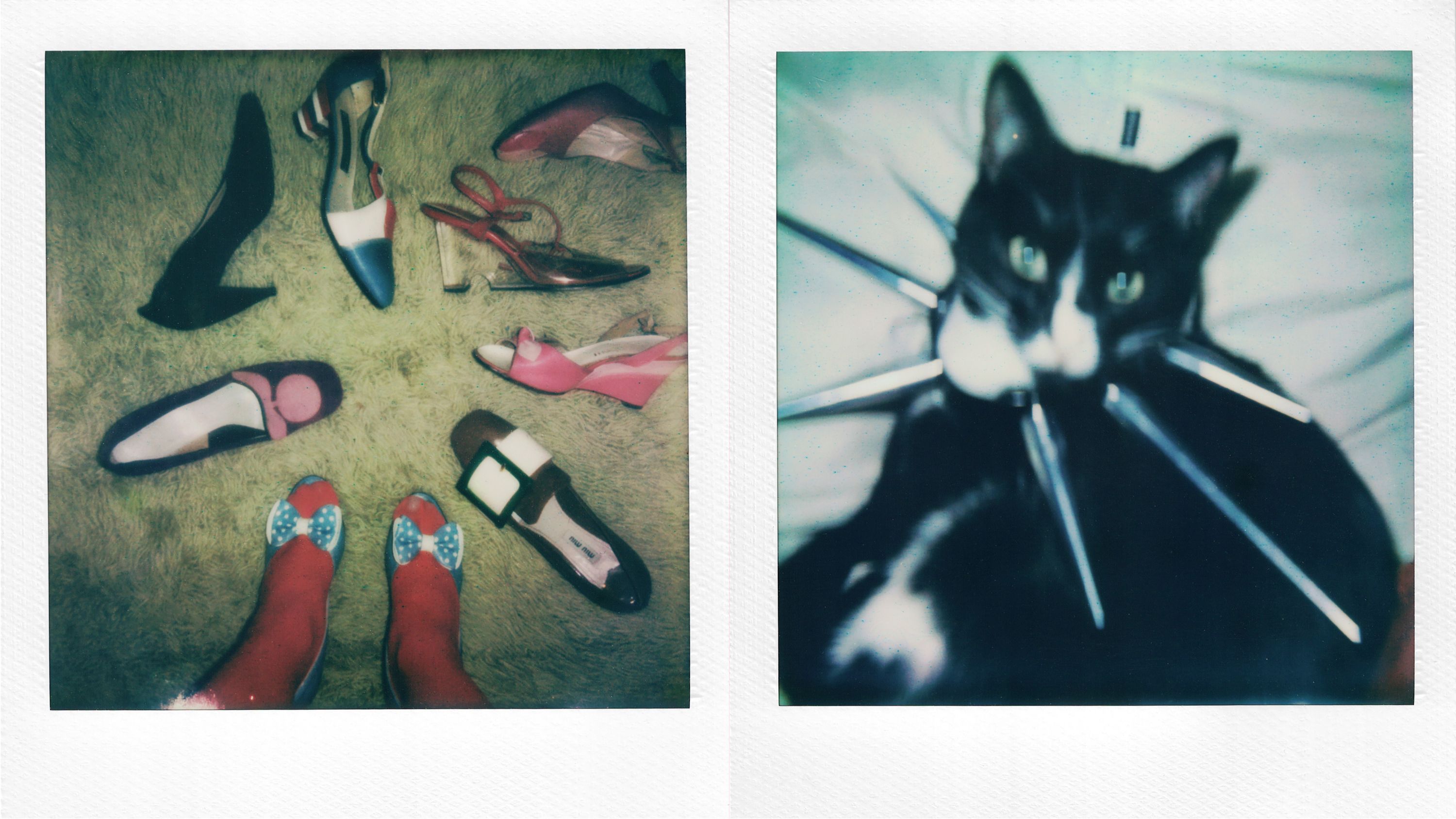 Building Character With Shirley Kurata | GOAT